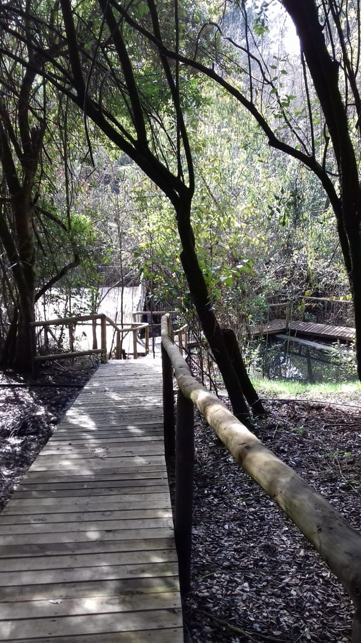 Turismo Vilches – Ven a disfrutar de la Naturaleza